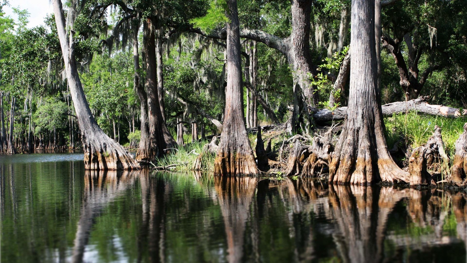 Everglades Nationaal Park | Onze tips voor een perfect bezoek | Reismix